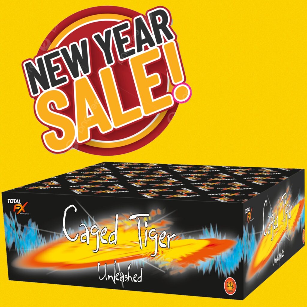 Fireworks Crazy Mini - Fireworks 4 You